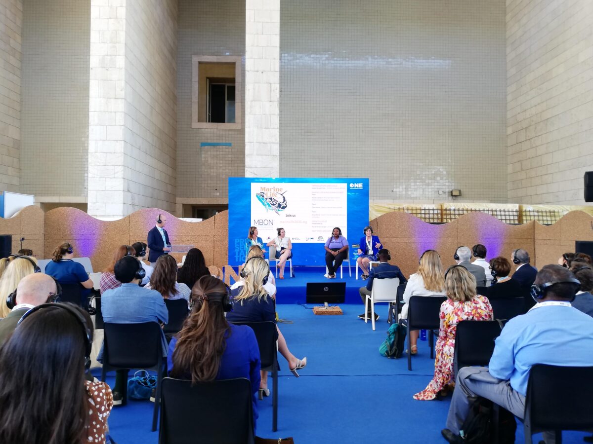 Marine Life at the 2022 UN Ocean Conference - Marine Life 2030